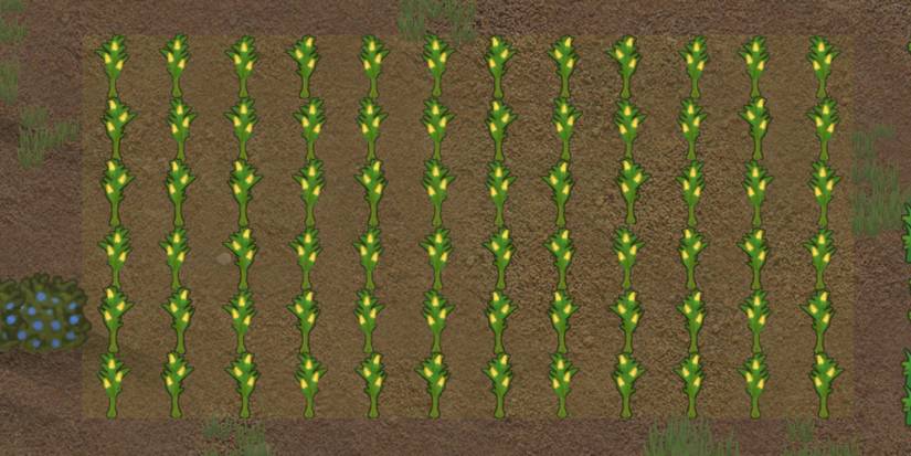 The Best Crops to Plant in Your Colony In RimWorld