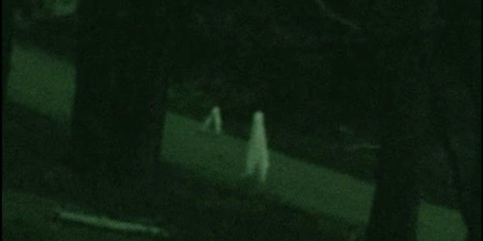 Modern Cryptids To Add To Your DnD Campaign