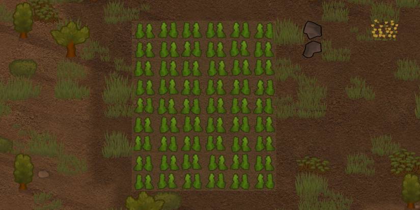 The Best Crops to Plant in Your Colony In RimWorld