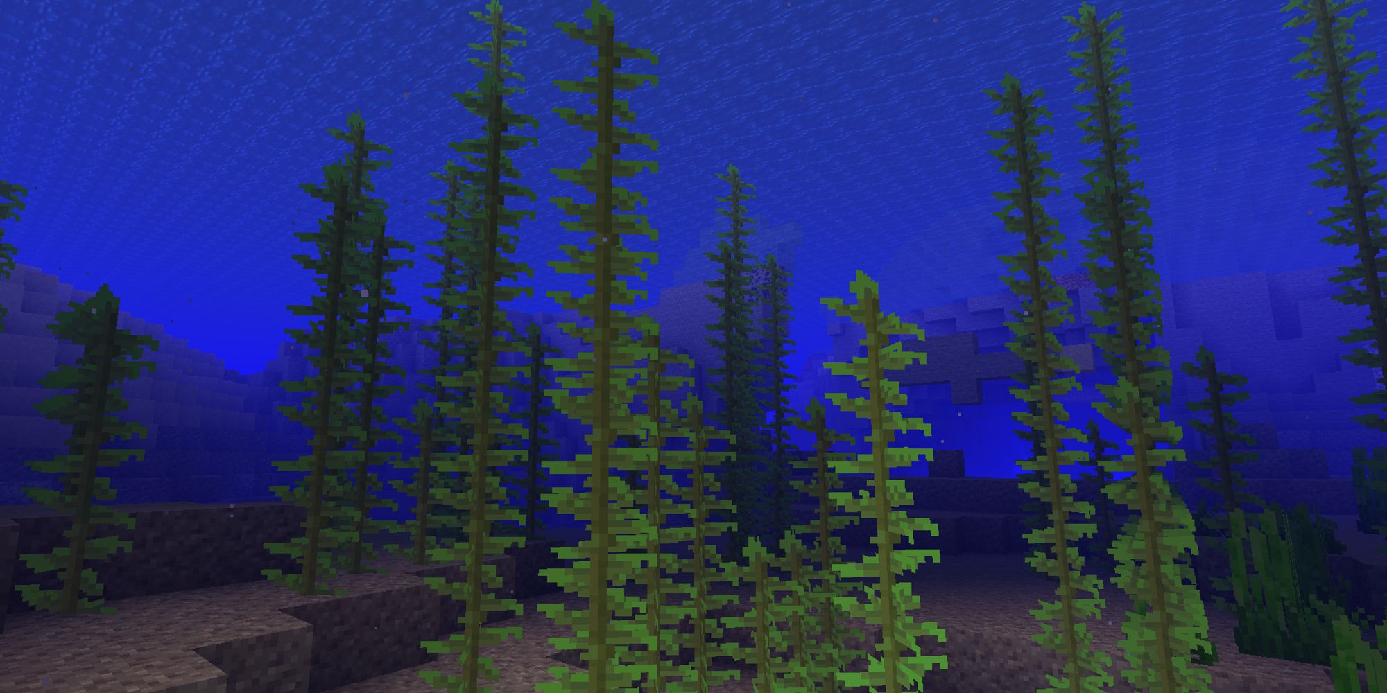 The Best Ways To Use Kelp In Minecraft