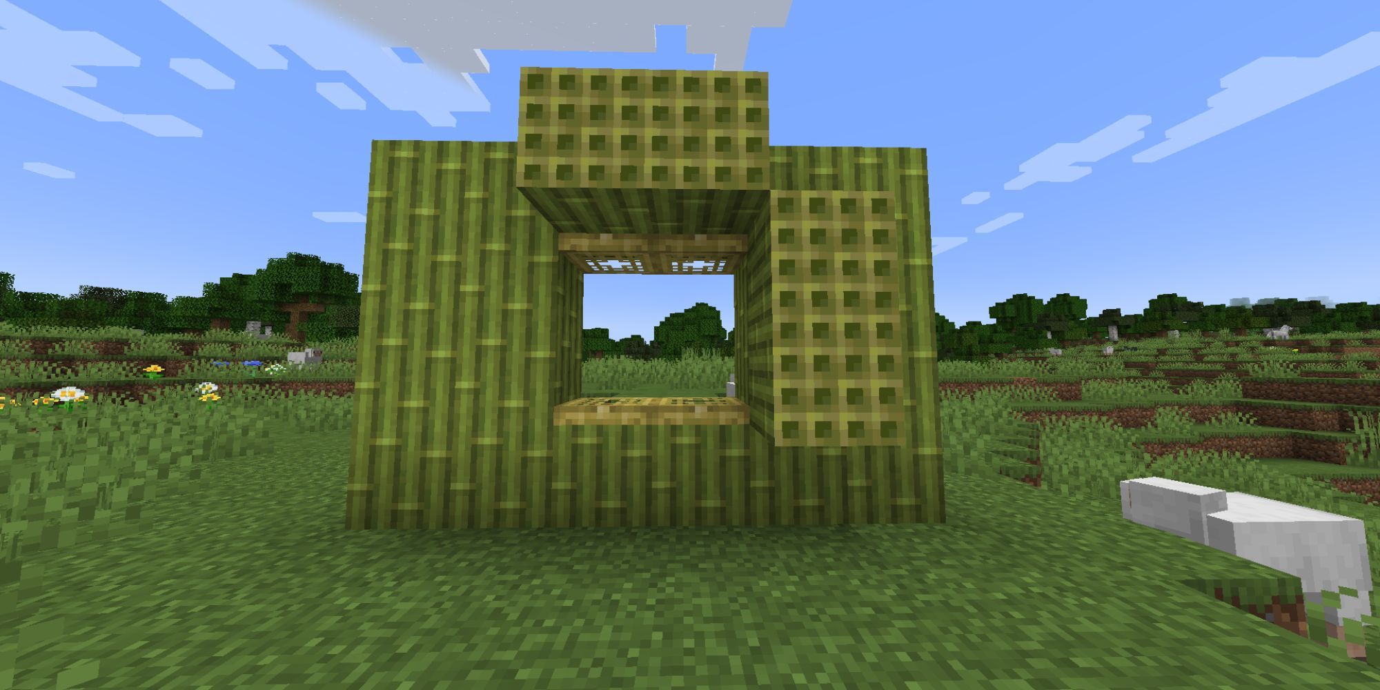 Minecraft Hidden Entrance