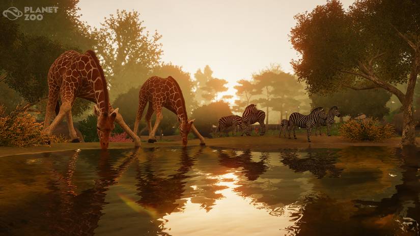 Everything You Need To Know About Planet Zoo: Console Edition