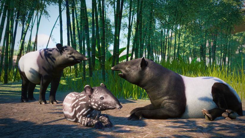 Everything You Need To Know About Planet Zoo: Console Edition