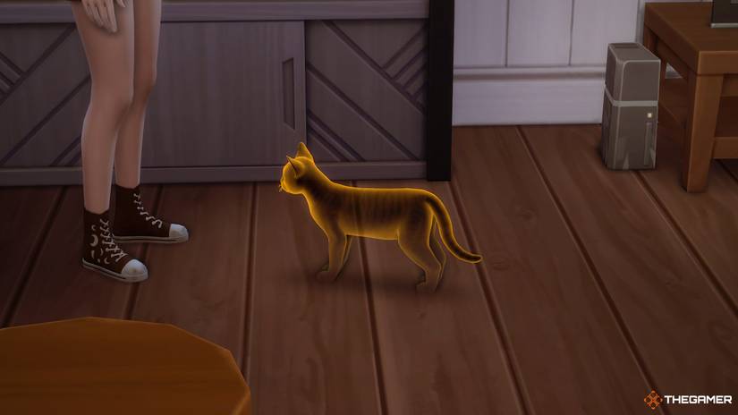 We Ranked The Best Cat-Petting Experiences In These Video Games