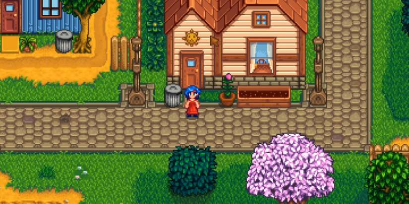 Every Main Character’s Age, Height, And Birthday In Stardew Valley
