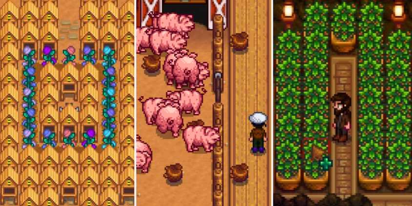 The Best Ring Combinations In Stardew Valley