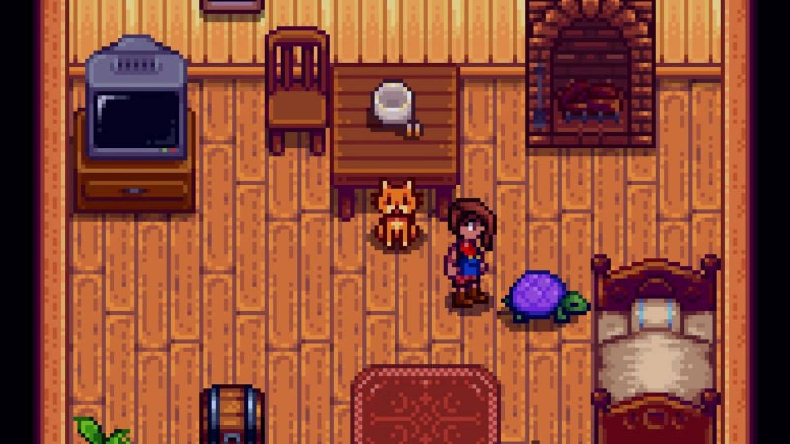 How To Get A Pet Turtle In Stardew Valley