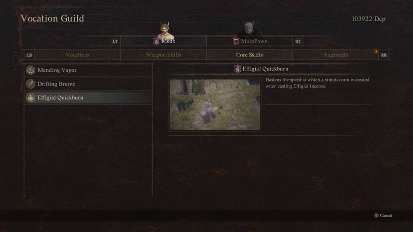 Everything You Need To Know About The Trickster Vocation In Dragon's ...