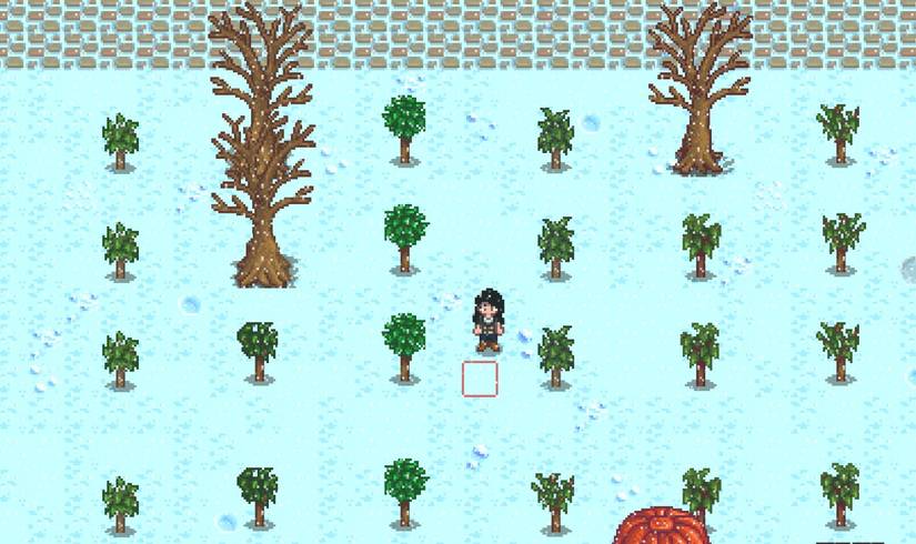 mango fruit tree stardew