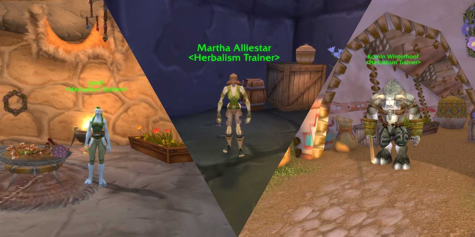 Where To Find All Artisan Profession Trainers In World Of Warcraft ...