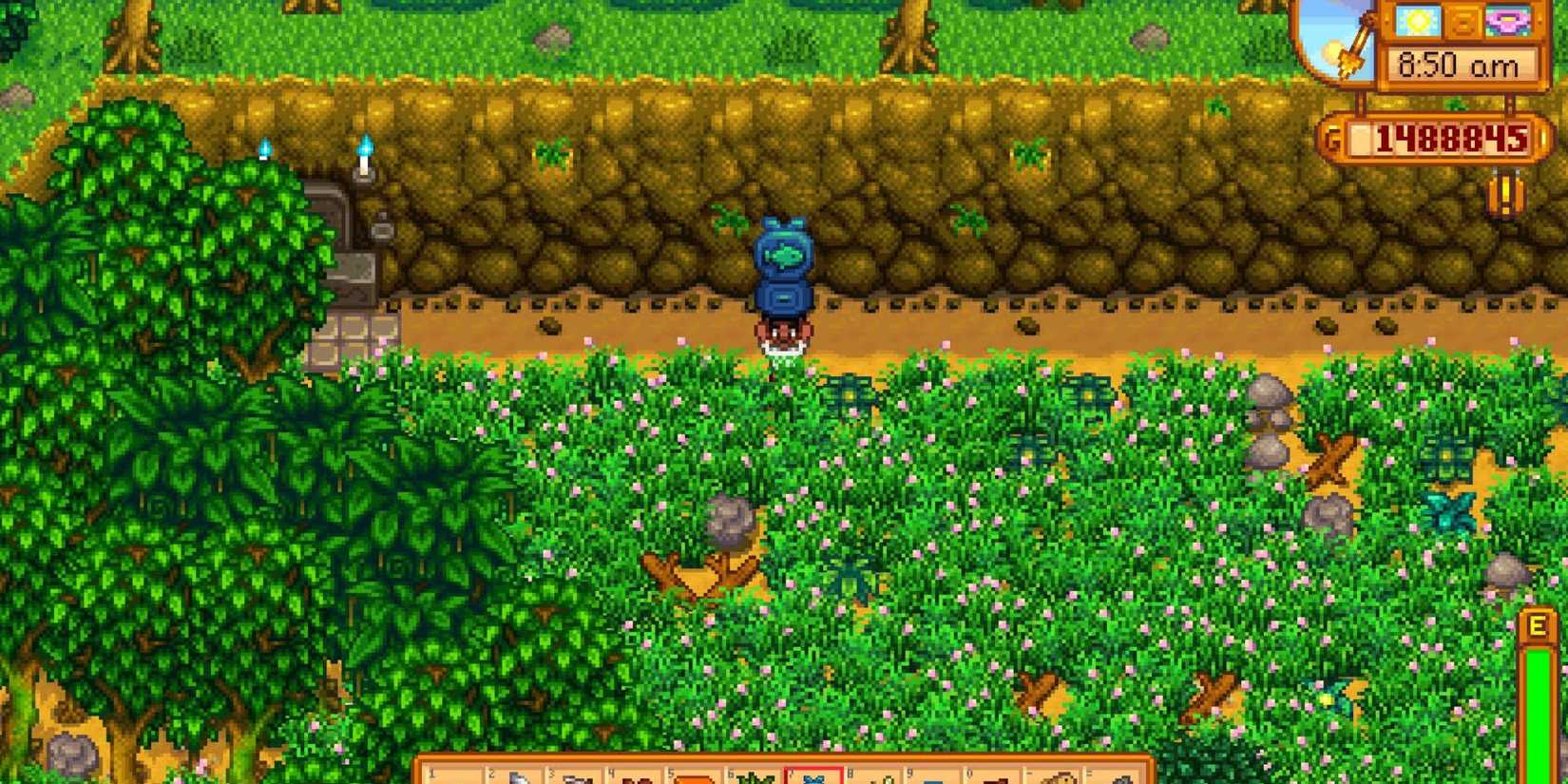 How To Get And Use The Bait Maker In Stardew Valley