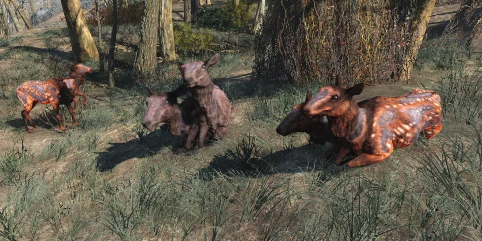 Tips And Tricks For Fallout 4 You Had No Idea About