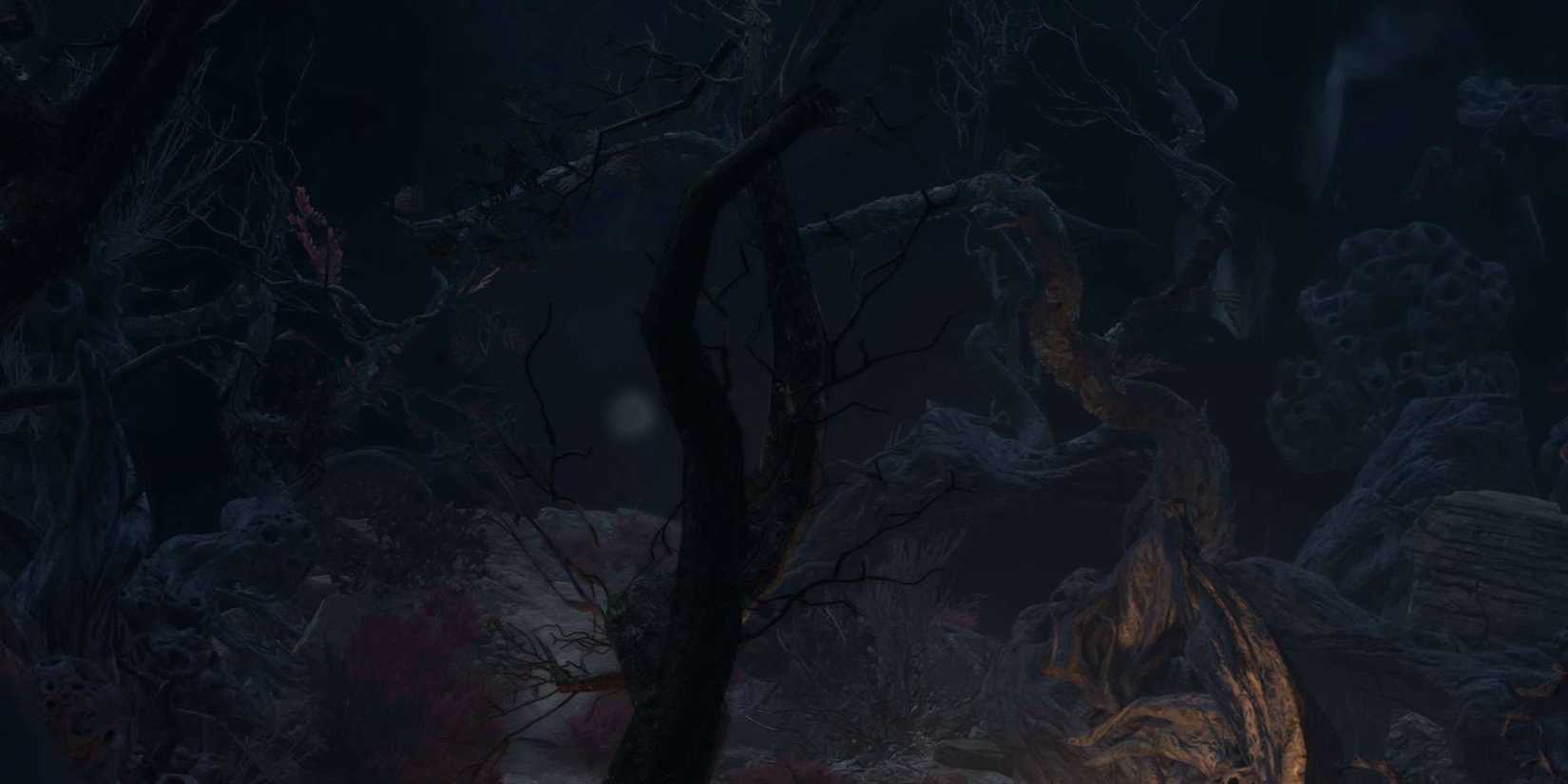 What's The Story Behind The Shadow-Cursed Lands In BG3?