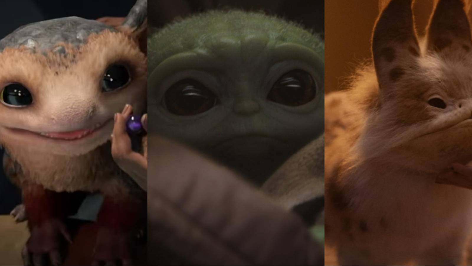 The Cutest Creatures In The Star Wars Universe