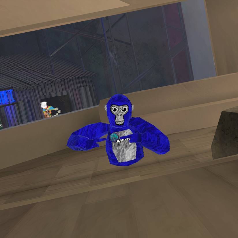 Things We Wish We Knew Before Playing Gorilla Tag