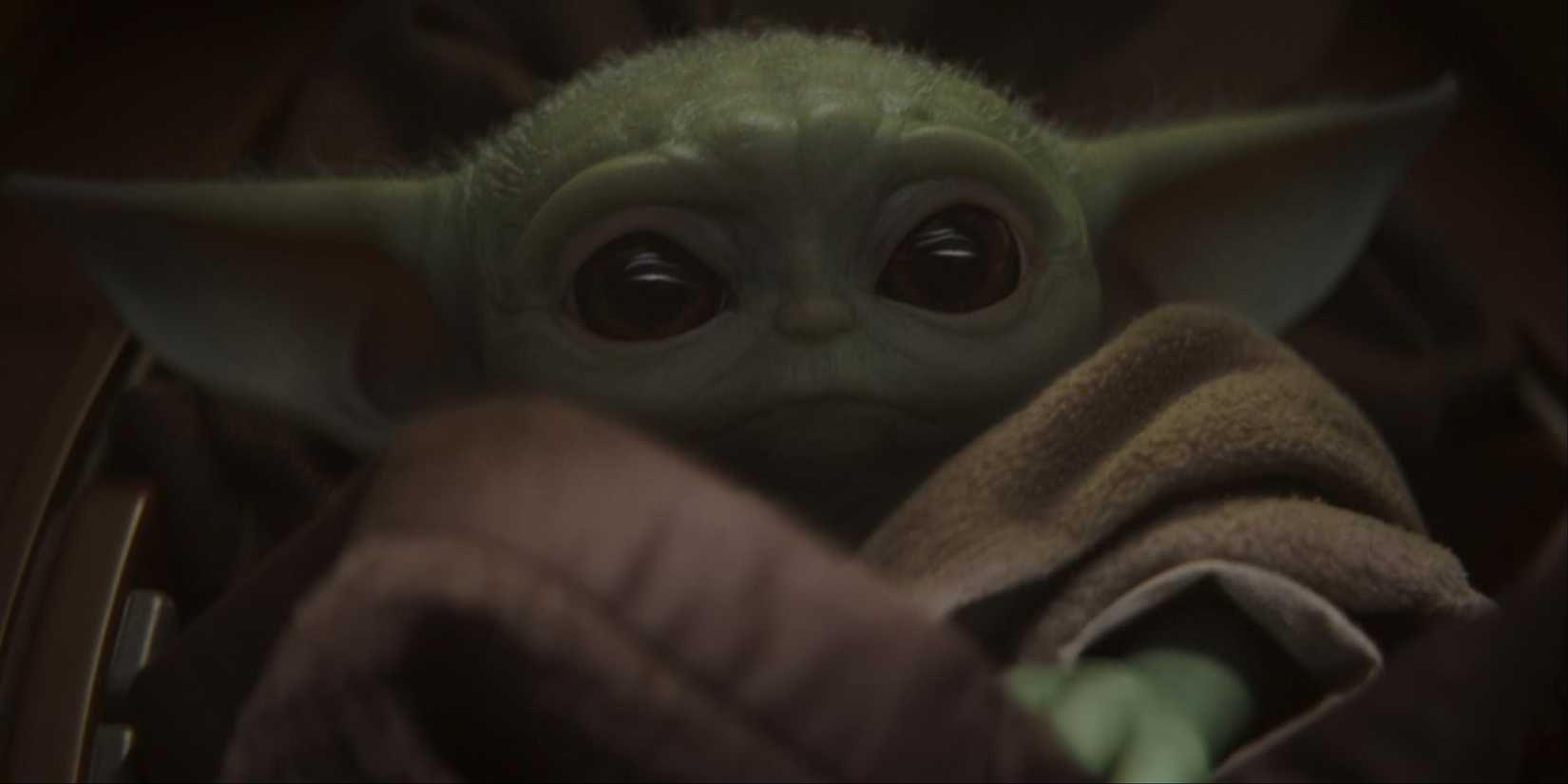 The Cutest Creatures In The Star Wars Universe