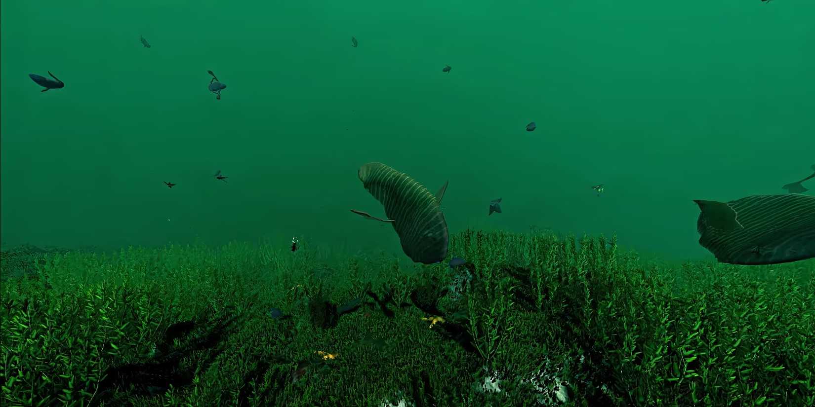 10 Best Ecosystem Management Games