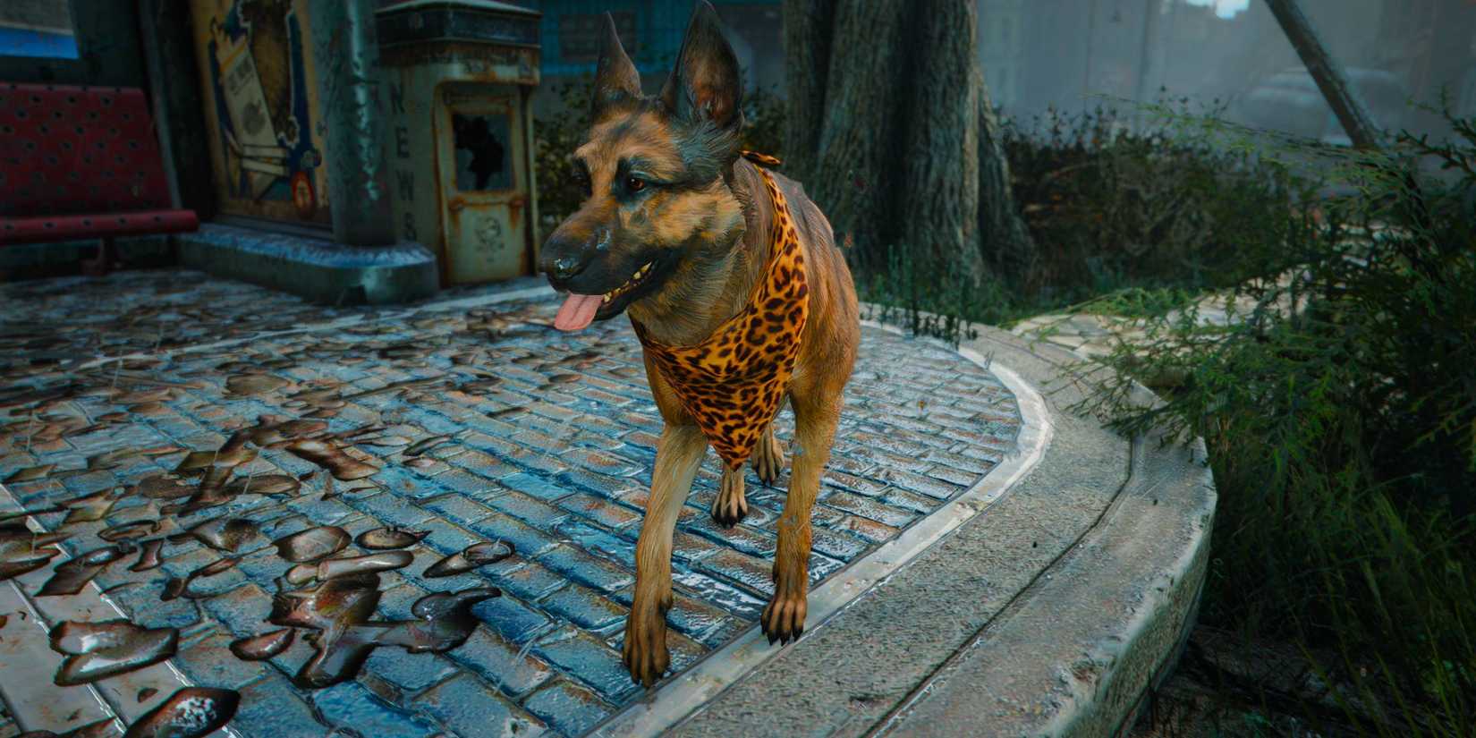 Best Equipment For Dogmeat In Fallout 4