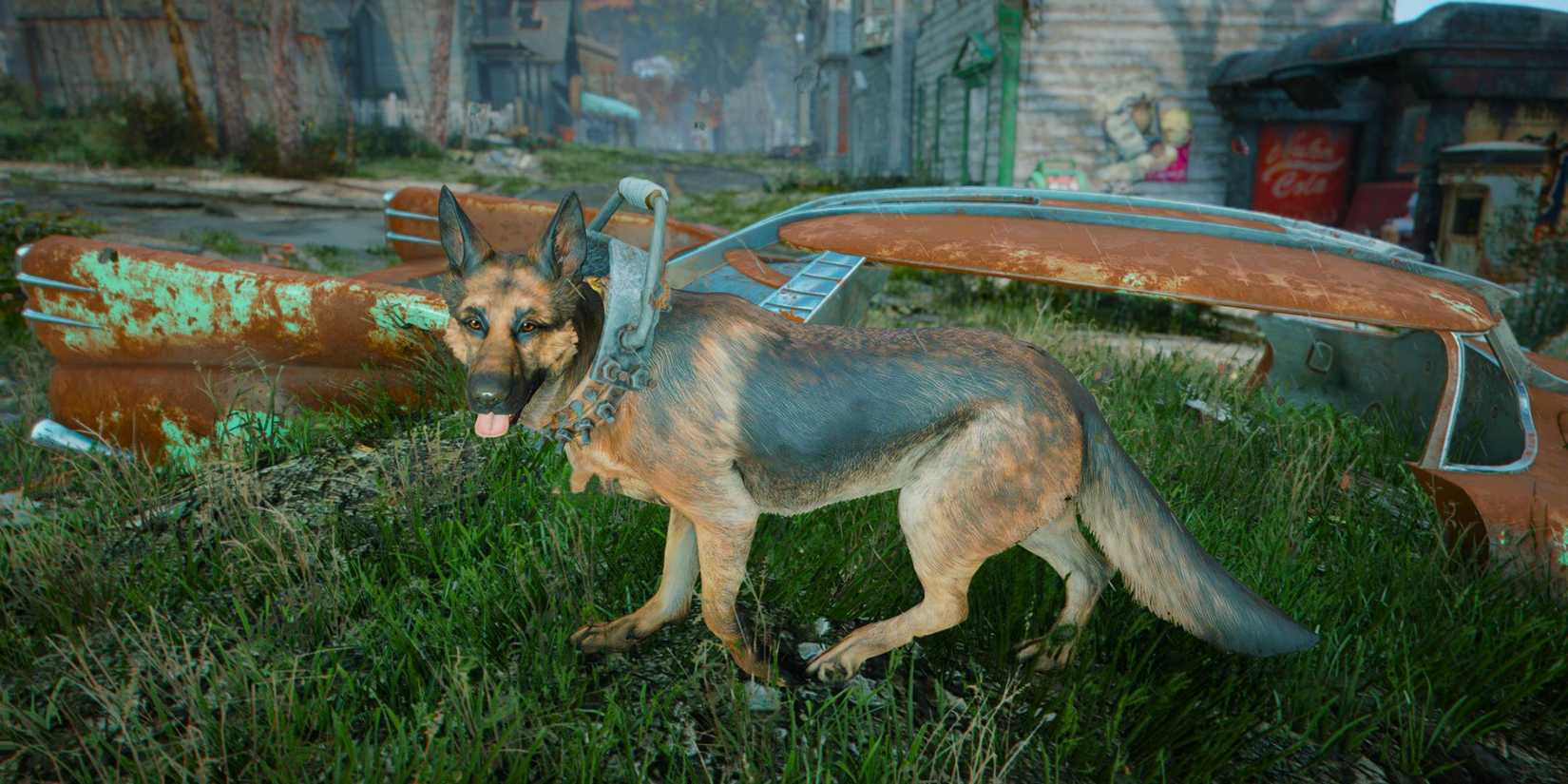 Best Equipment For Dogmeat In Fallout 4