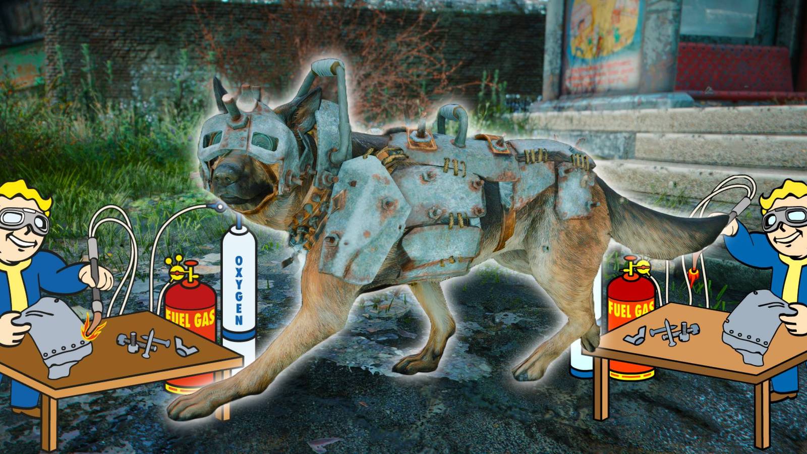 Best Equipment For Dogmeat In Fallout 4