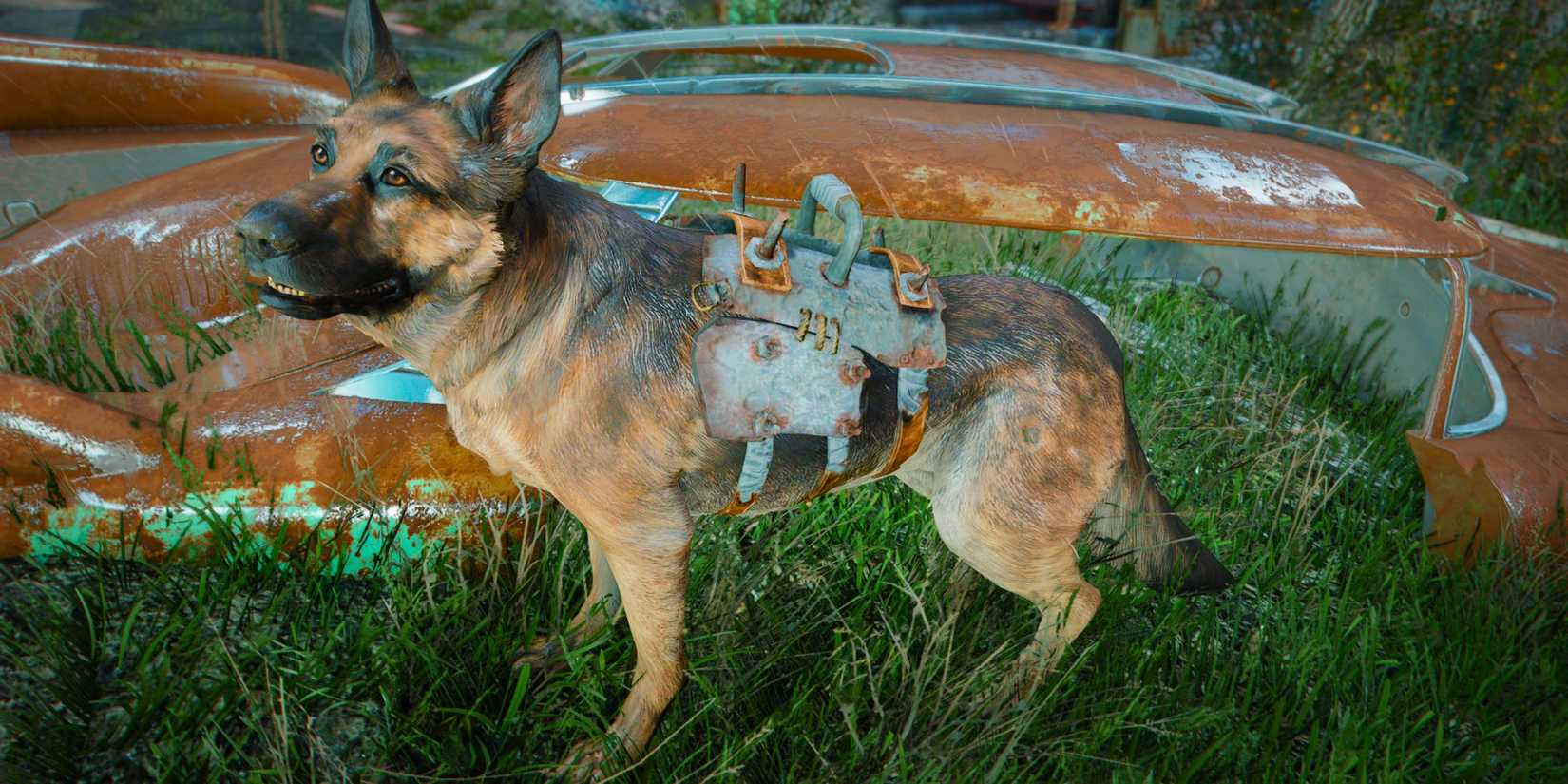 Best Equipment For Dogmeat In Fallout 4