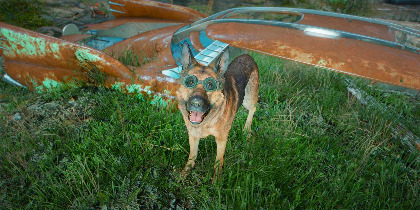 Best Equipment For Dogmeat In Fallout 4