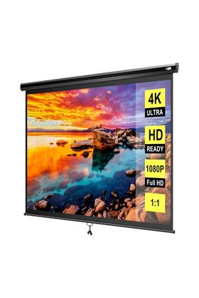 The Best Projector Screens You Can Buy In 2024