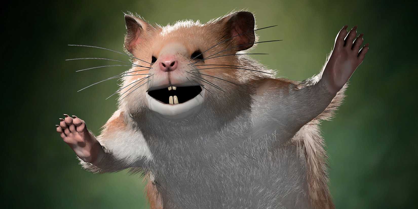 Baldur's Gate 3's Minsc Probably Authored One Of The Game's Books