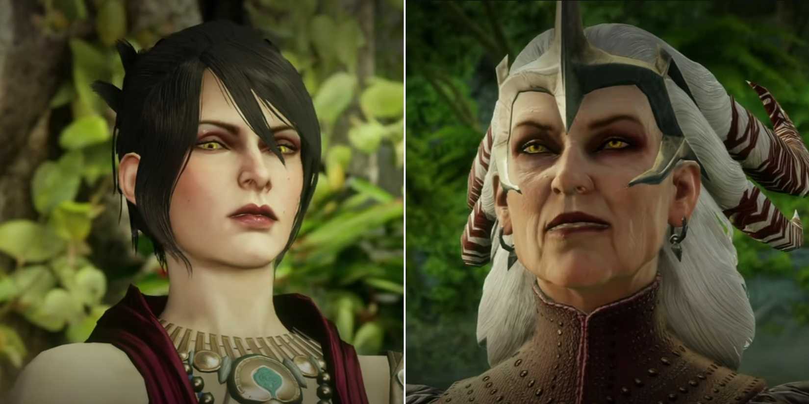Is Flemeth Really What She Seems To Be In Dragon Age?