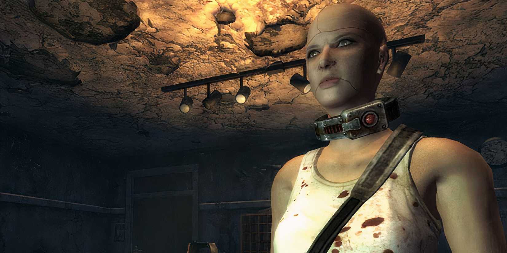 Fallout: Most Well-Written Characters