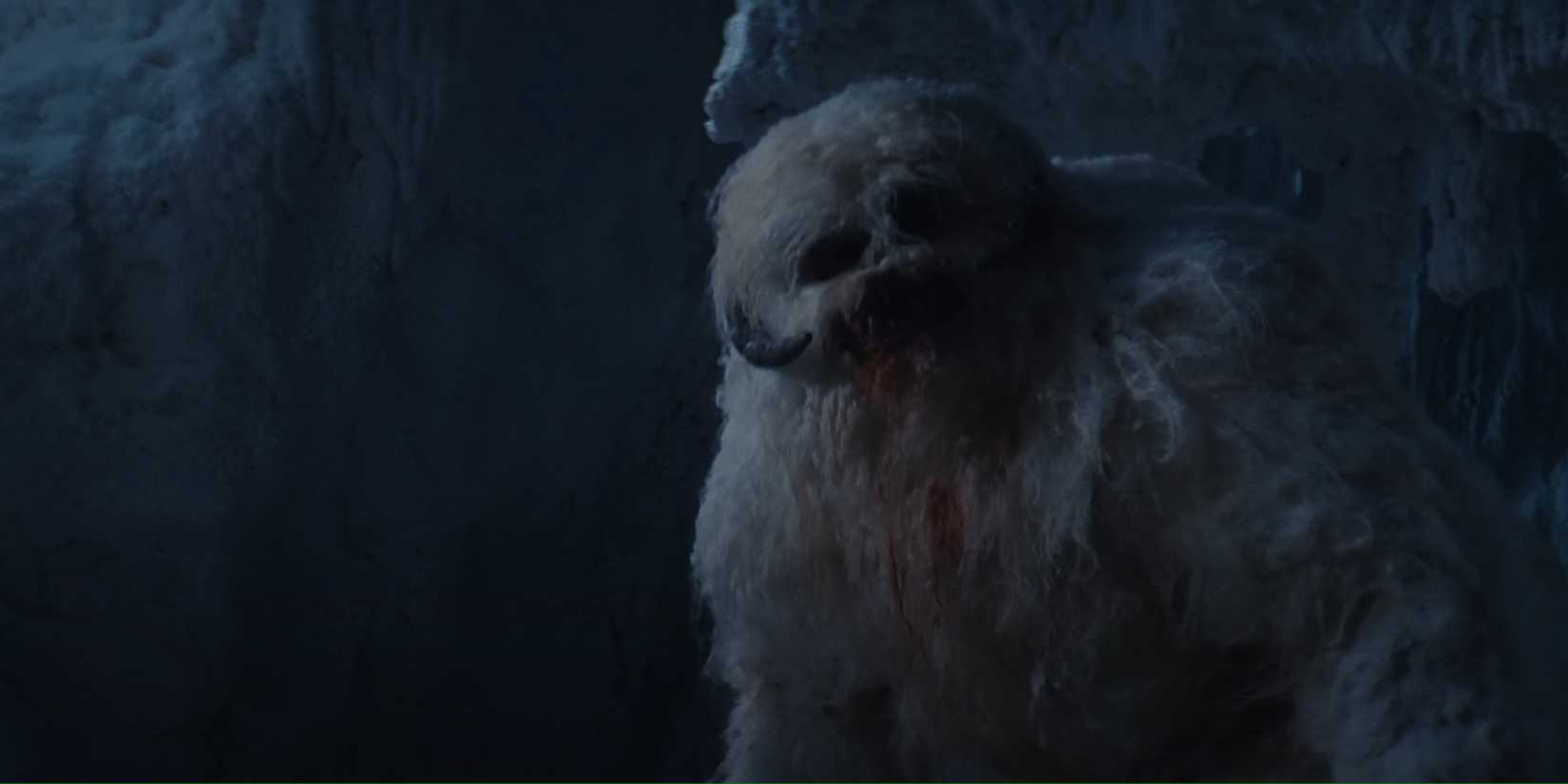 The 8 Scariest Creatures In Star Wars