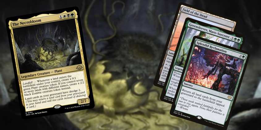 How To Build A Templar Knights Commander Deck - Best Cards, How To Play ...