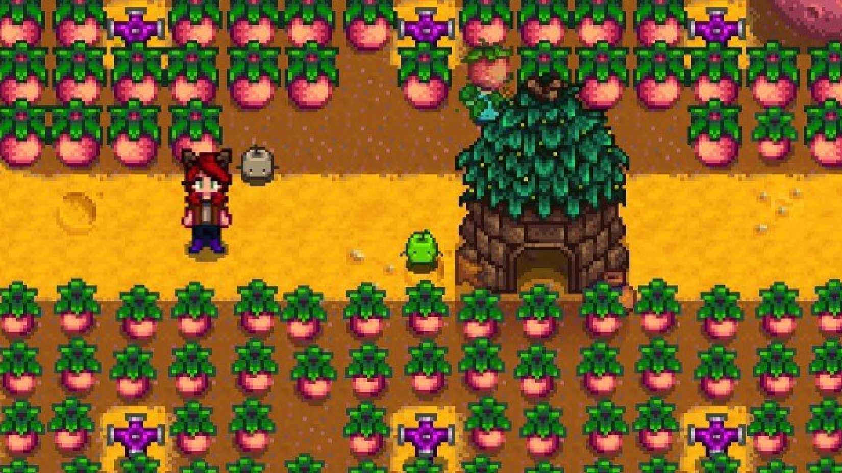 How To Upgrade Junimo Huts In Stardew Valley
