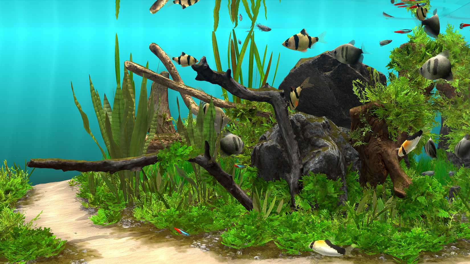 The Best Aquarium Simulator Games To Play