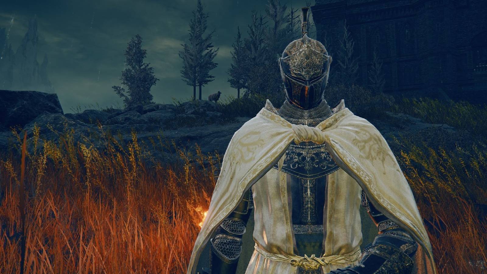 Who Is Needle Knight Leda From Elden Ring: Shadow Of The Erdtree