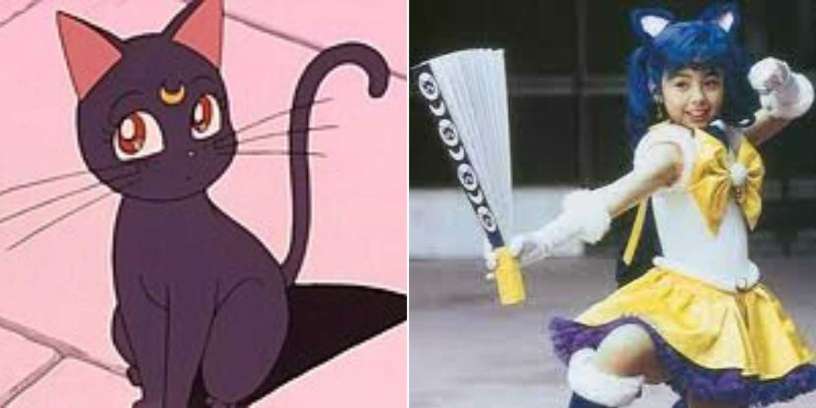 10 Best Anime Sidekicks