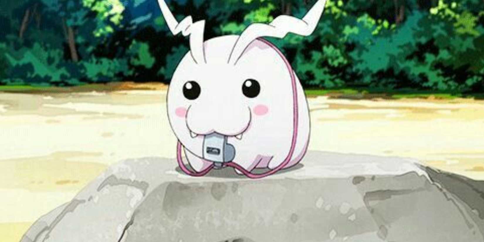 The Most Adorable Digimon