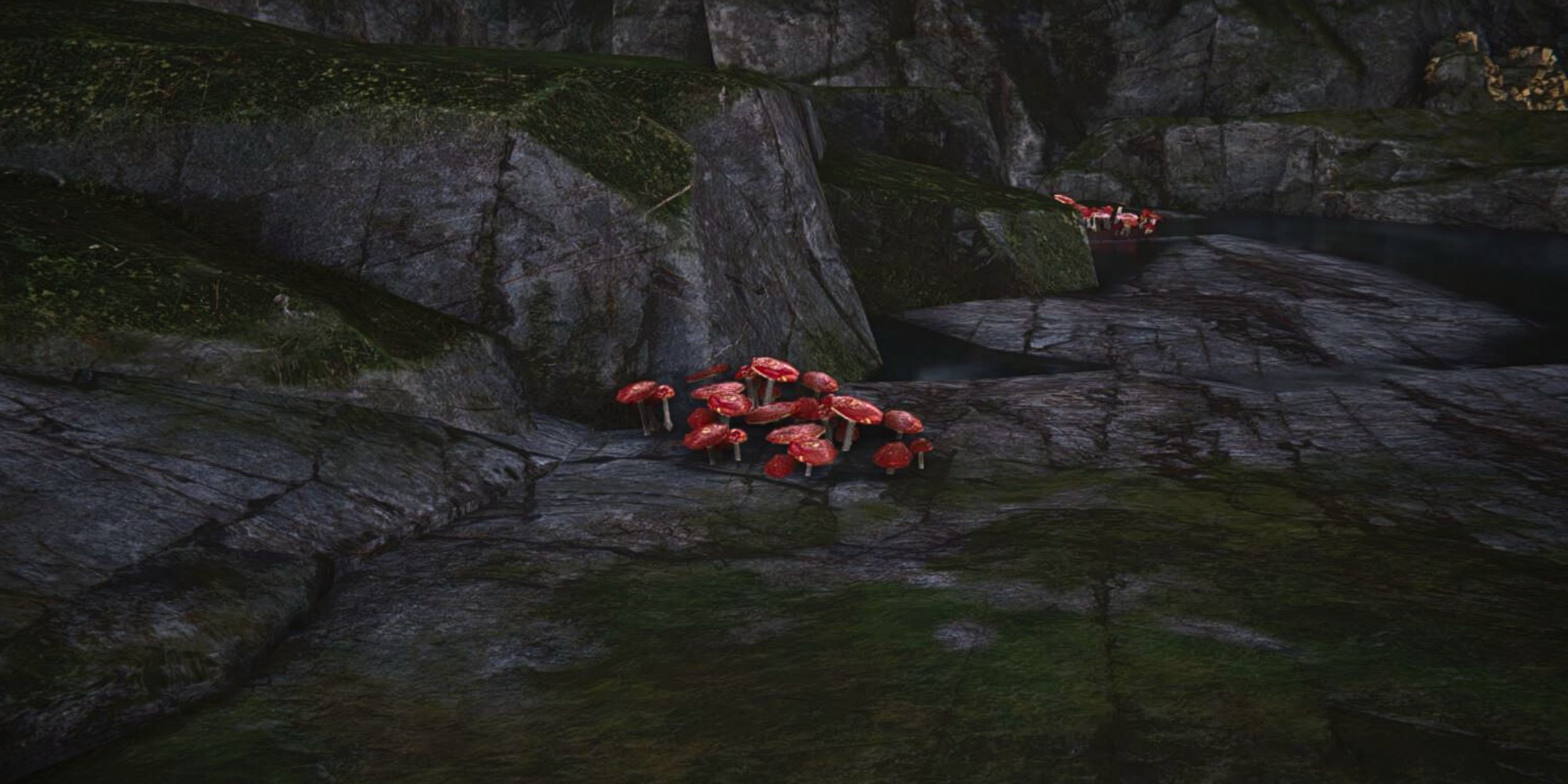 Where Is The Best Place To Find Mushrooms In Once Human?