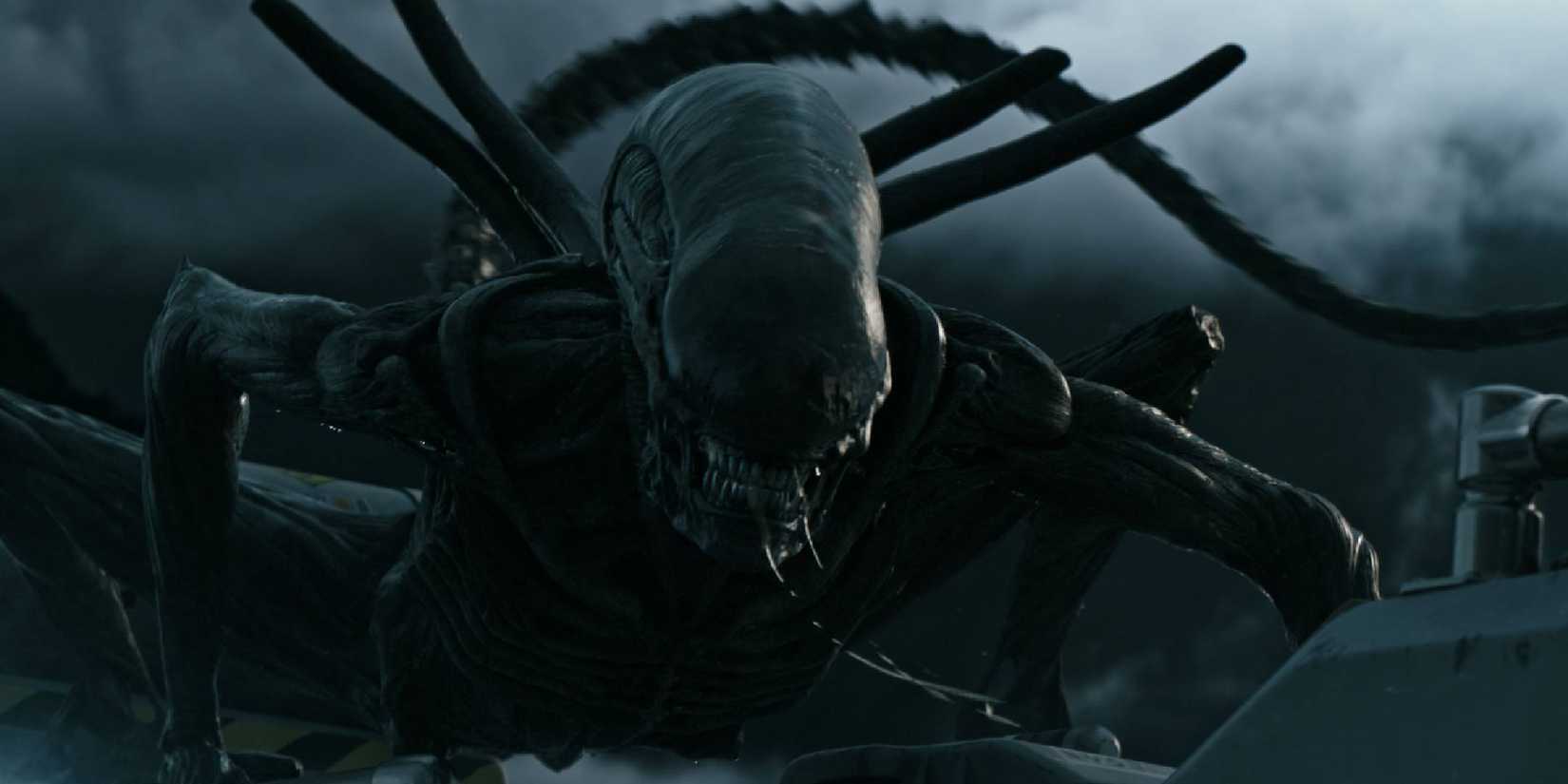 I Can't Believe It's Taken Xenomorphs This Long To Arrive On Earth