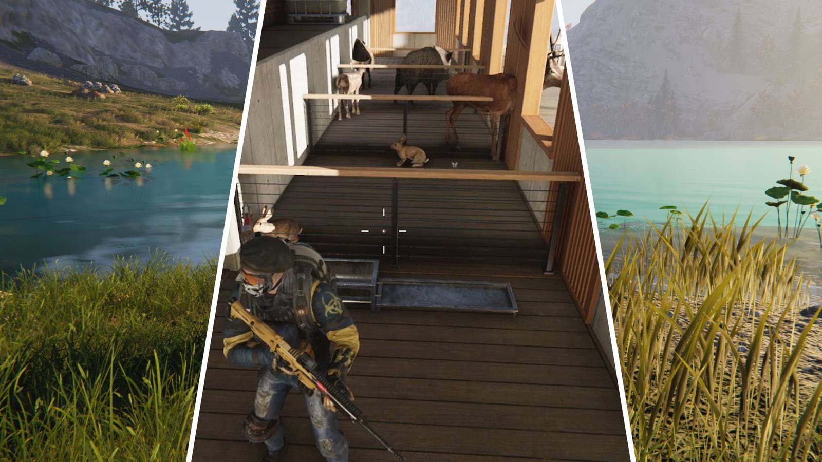 How To Capture Animals In Once Human.