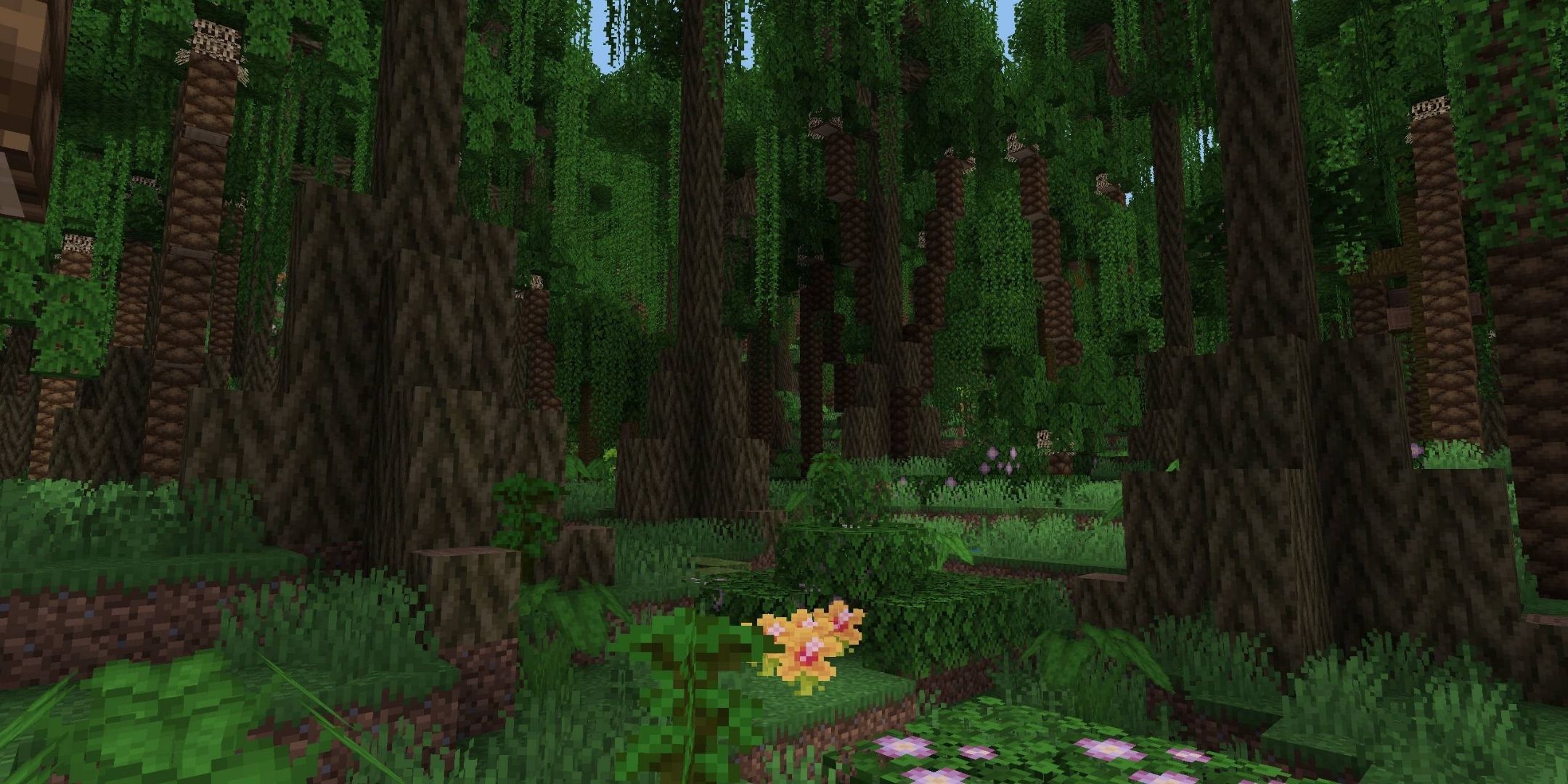 Jungle Biome Minecraft