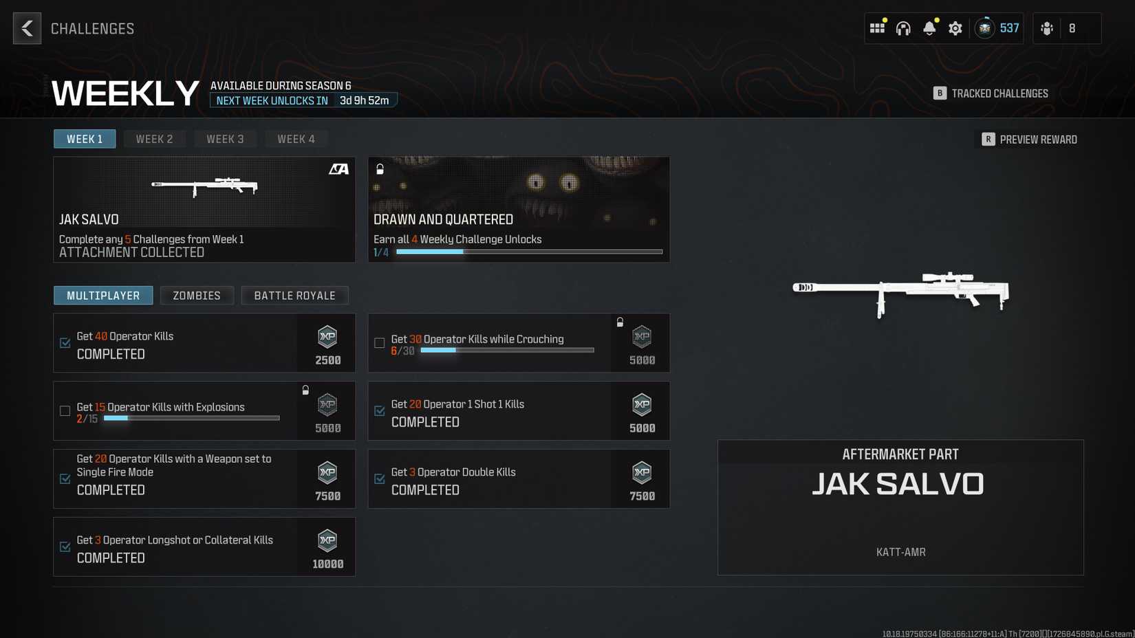 The Best JAK Salvo Build In MW3