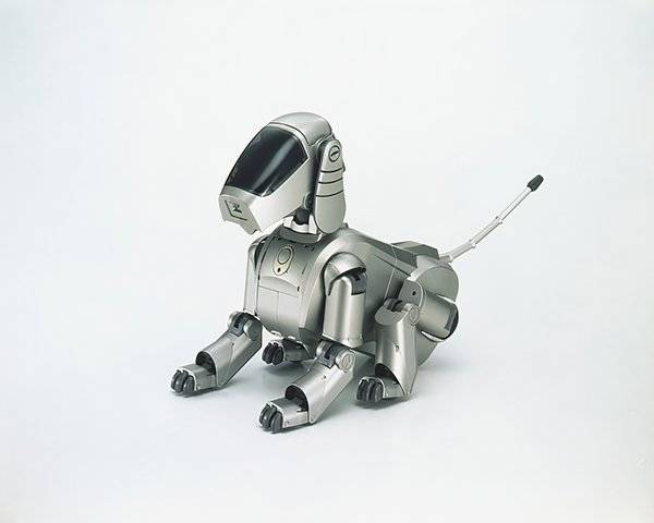Astro Bot Lets You Pet The Sony Aibo