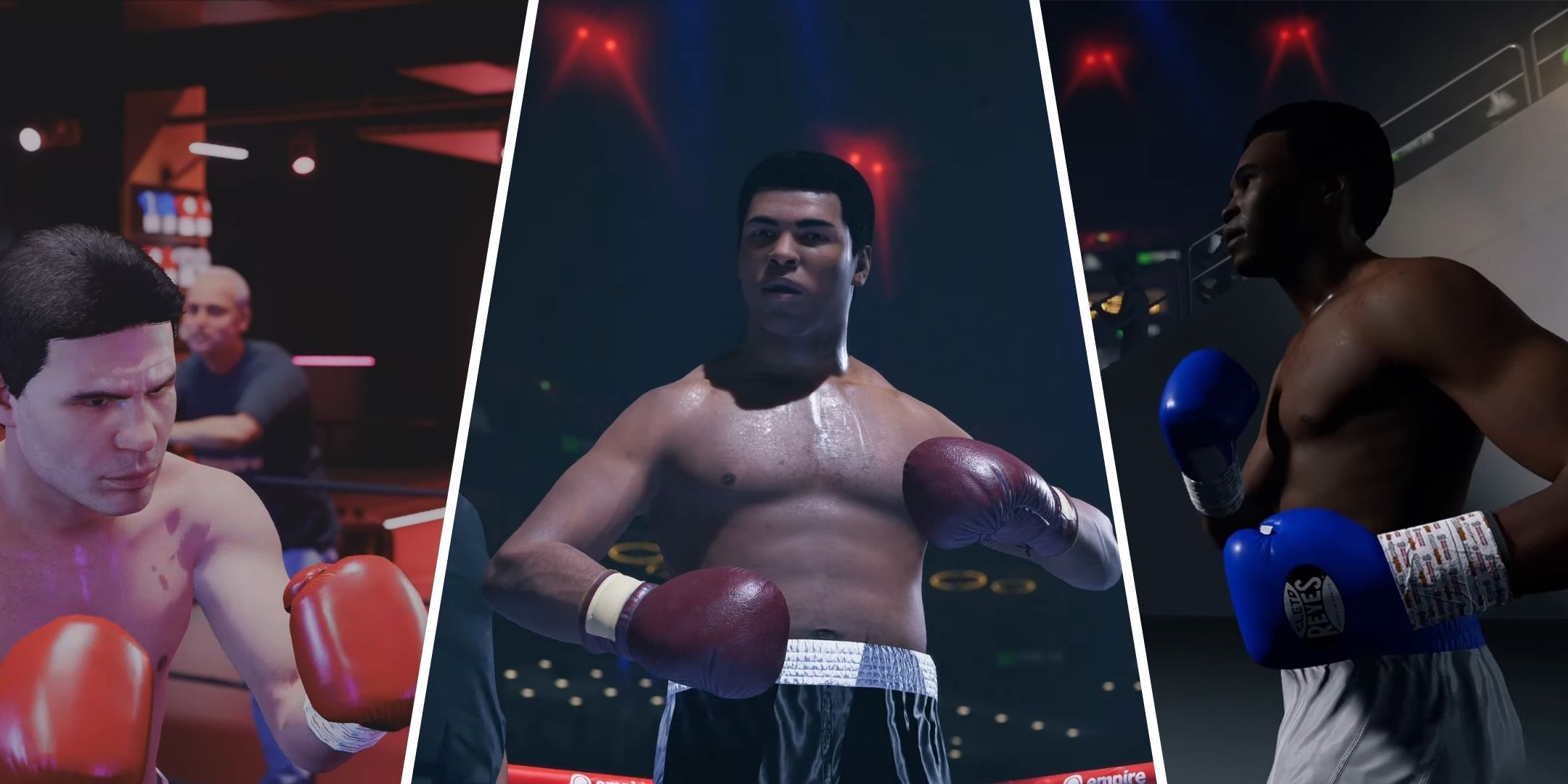 The Best Fighters In Undisputed