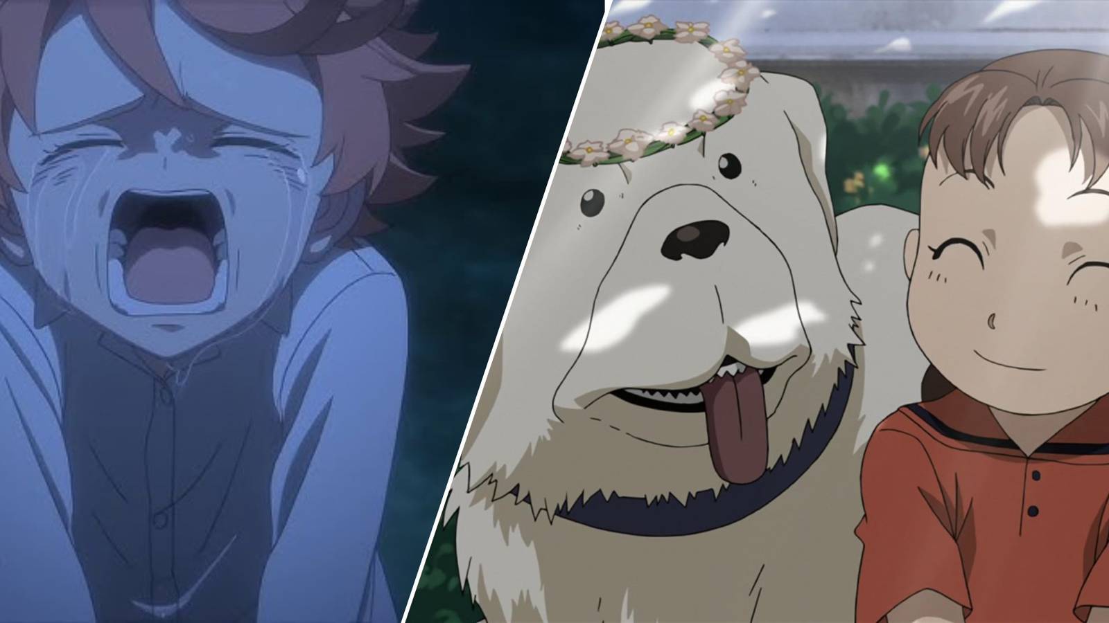 Anime That Suddenly Turn Dark