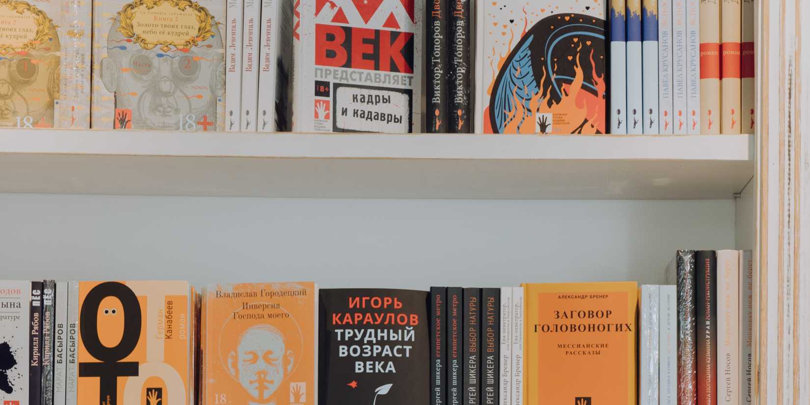 Tips And Tricks For Displaying Your Bookshelf