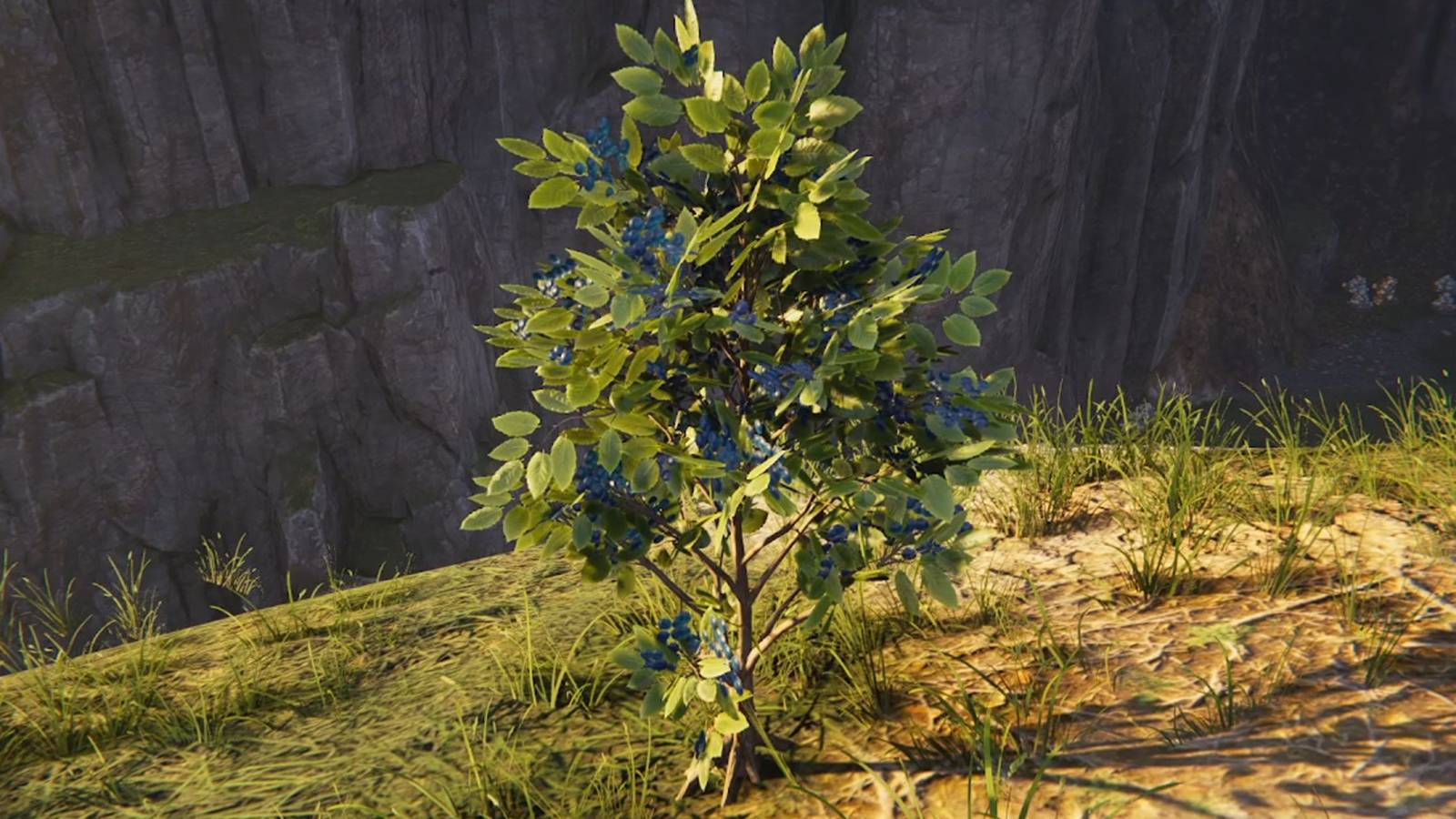 Where Do You Get Blueberries In Once Human