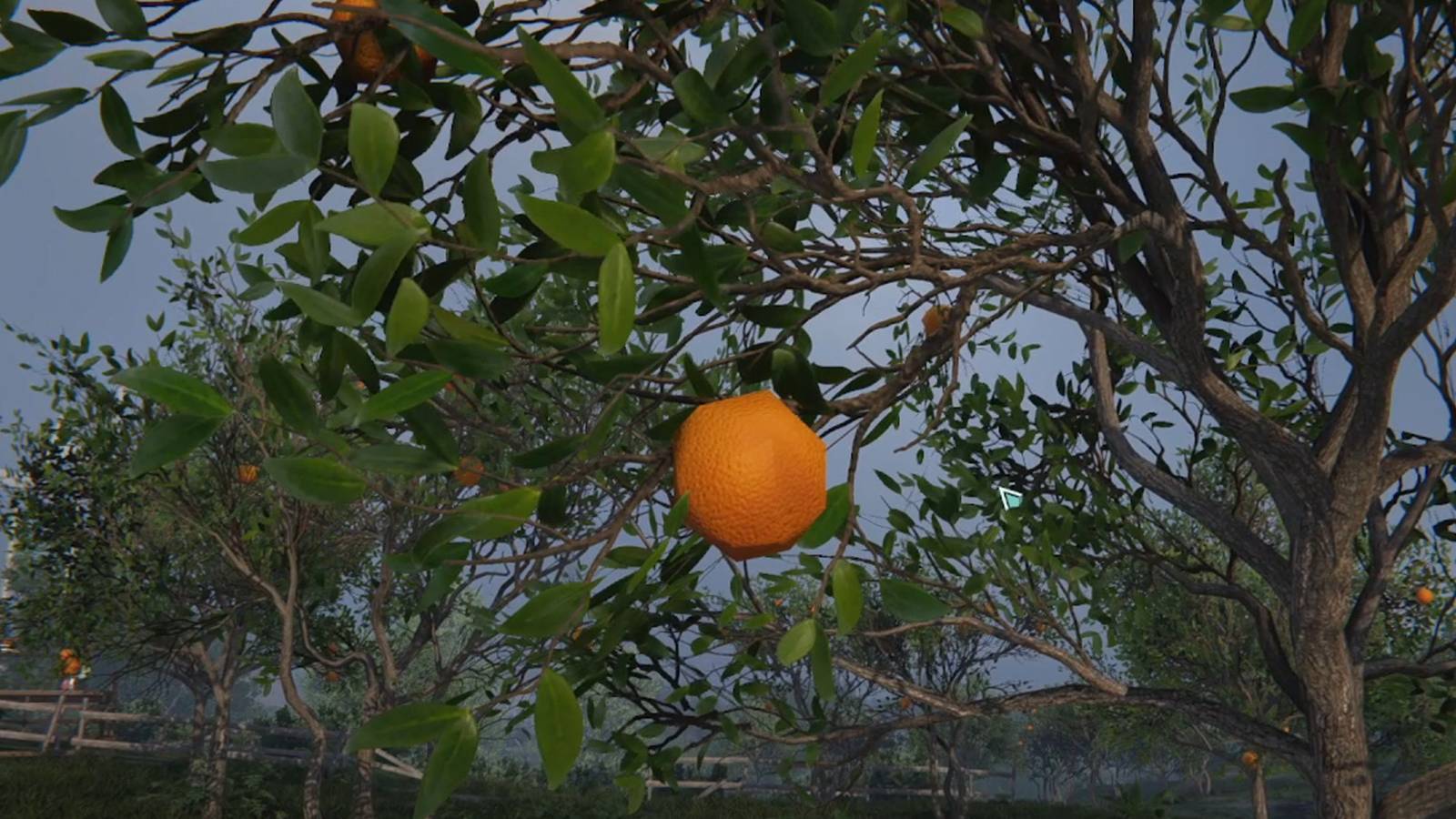 Where To Find Oranges In Once Human