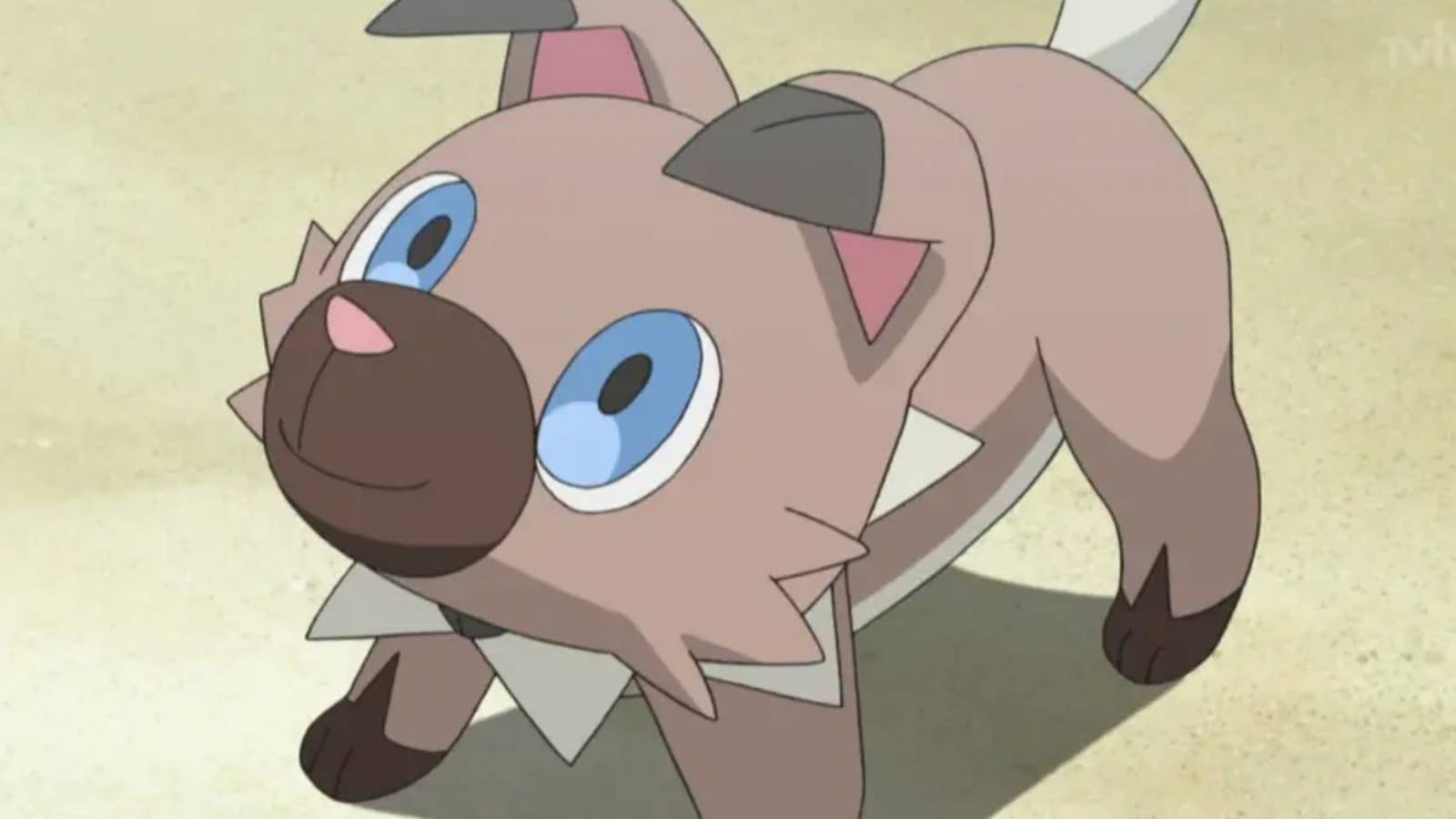Pokemon's Sleeping Rockruff Plush Is Now Available At Walmart