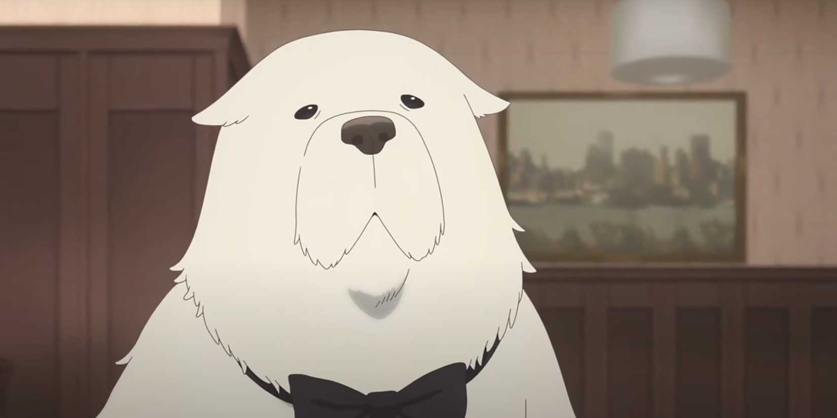 Our Favorite Characters From Spy X Family